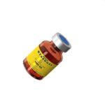 Home - Aesthetics Best World